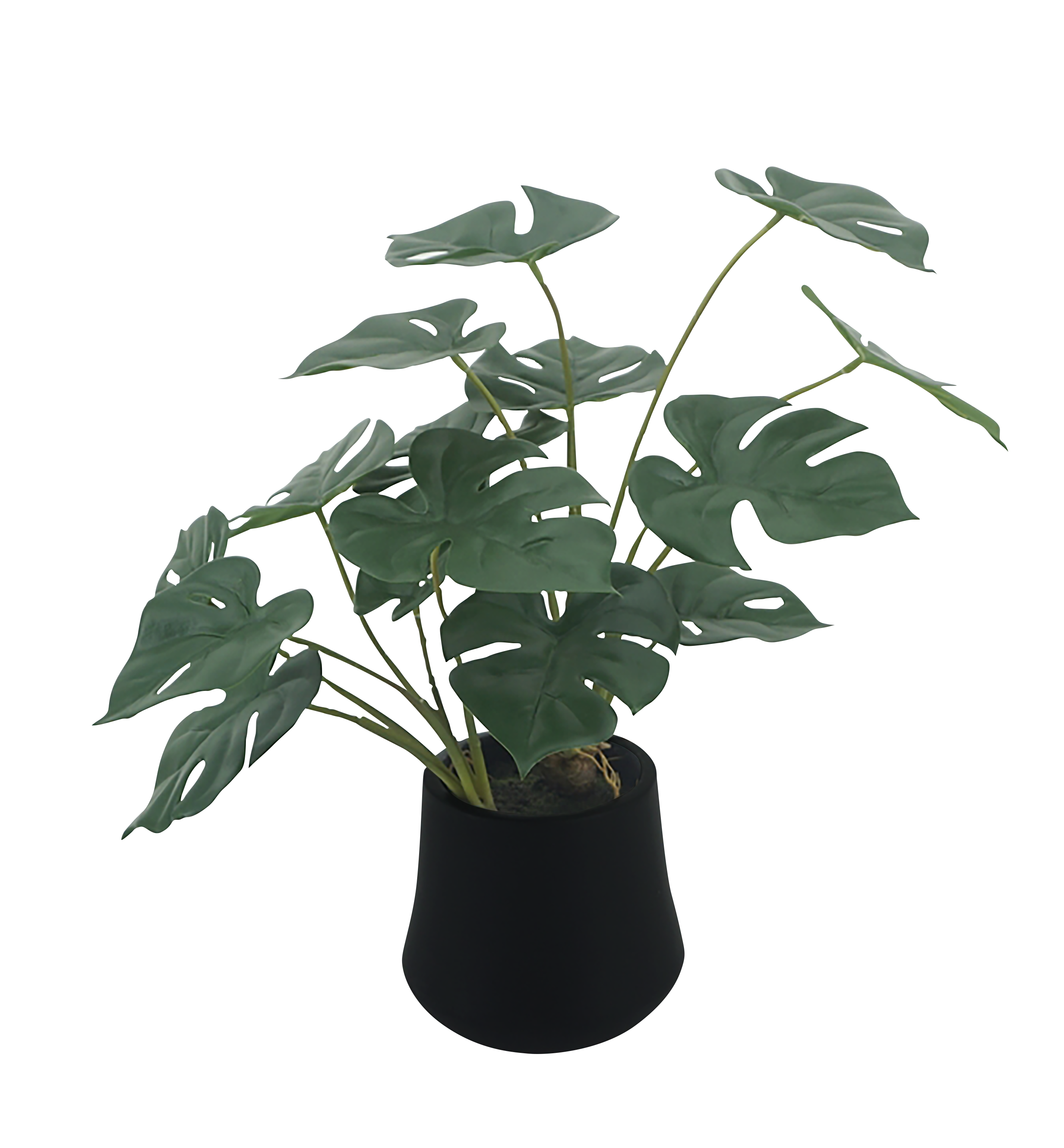 MACETA MONSTERA – AvenirHouse